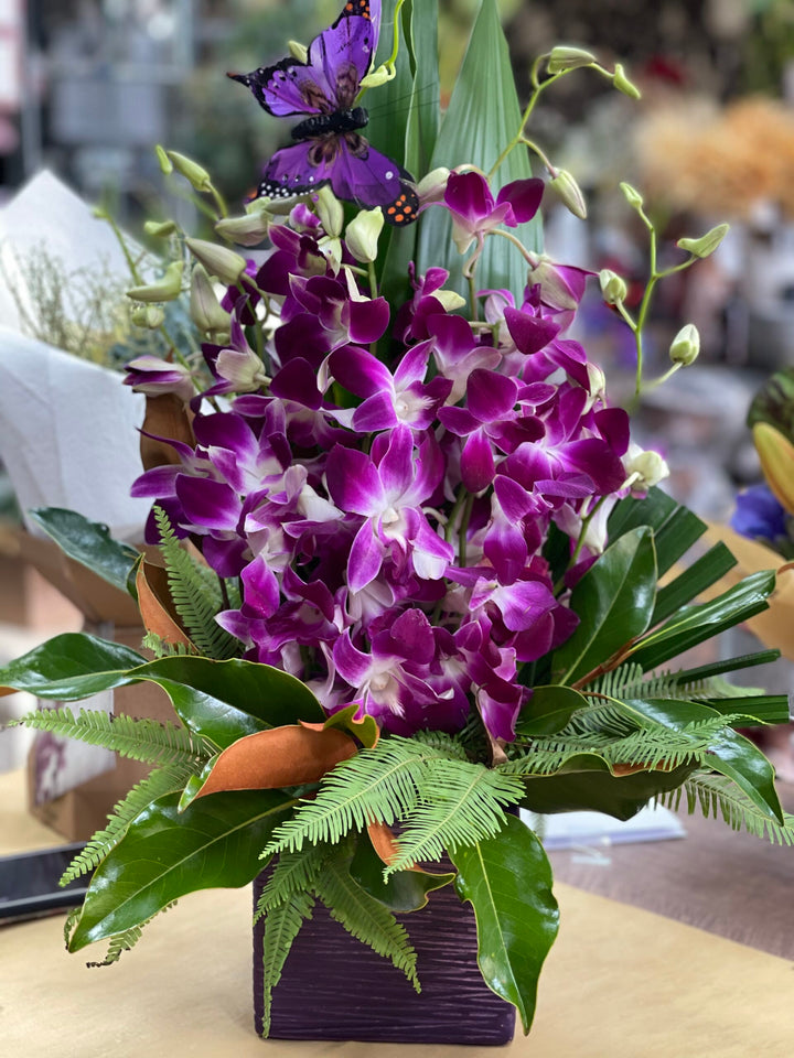 Fresh Flowers & Gifts - Flowers By Elise in Darwin & Palmerston